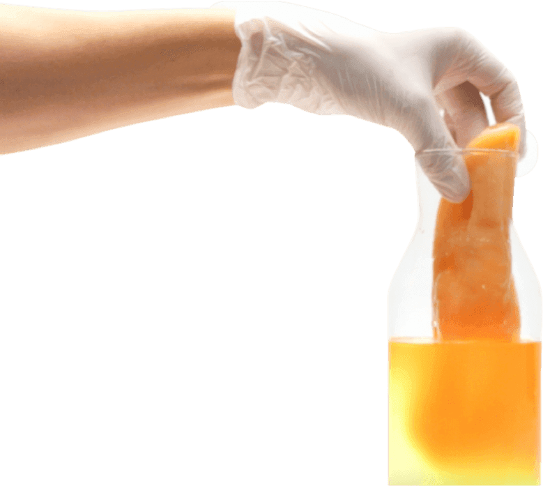 Magu I Živé kultury pro zdravější život