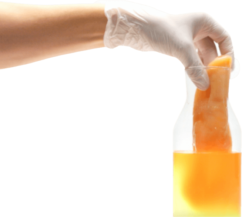 Magu I Živé kultury pro zdravější život